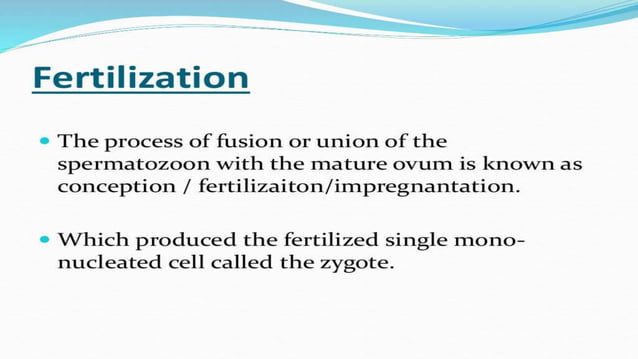Embriology & development embryo cell process | PPT