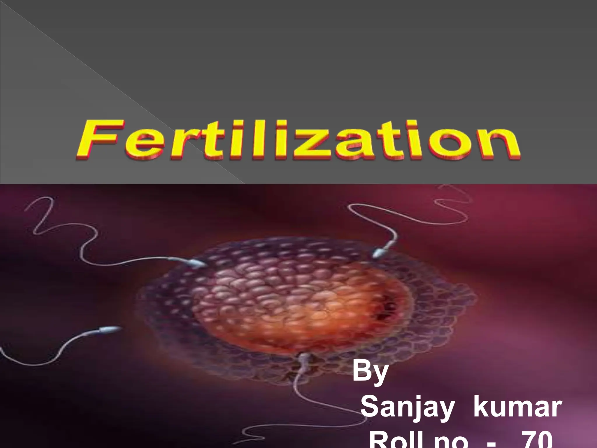 EMBRIOLOGY FERTILIZATION by SANJAY KUMAR .pptx