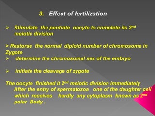 EMBRIOLOGY FERTILIZATION by SANJAY KUMAR .pptx