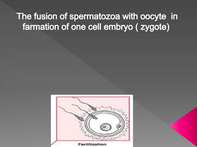 Embriology Fertilization By Sanjay Kumar Pptx