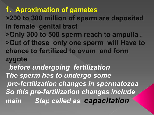 Embriology Fertilization By Sanjay Kumar Pptx