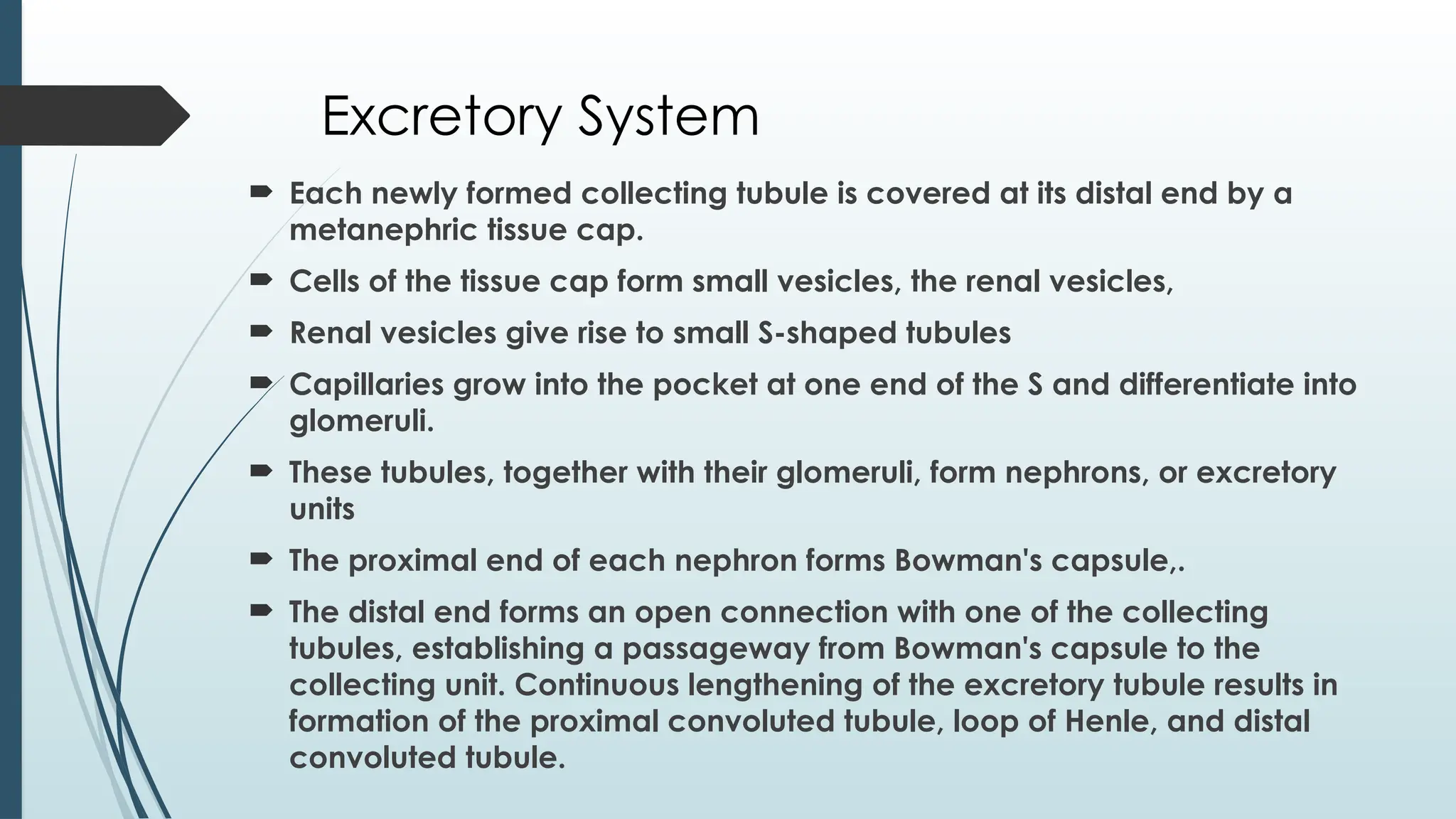 EMBROGENESIS OF UROGENITAL SYSTEM AND ITS CLINICAL CORELEATIONS.pptx