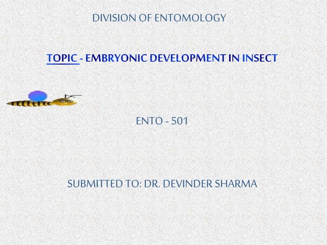 Embryological development in insect | PPTX | Infertility | Reproductive ...