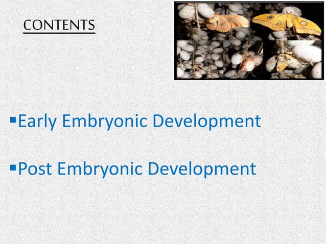 Embryological development in insect | PPTX | Infertility | Reproductive ...
