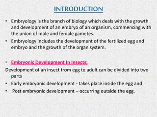 Embryological development in insect | PPTX