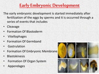 Embryological development in insect | PPTX