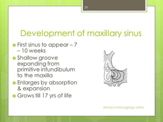 Embryology nose and paranasal sinuses | PPTX