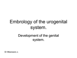 Embryology of the urogenital system | PPT