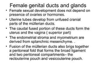 Embryology of the urogenital system | PPT