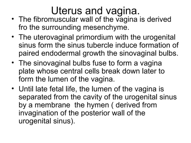Embryology of the urogenital system | PPT