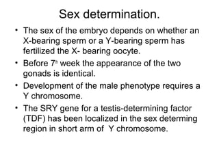 Embryology of the urogenital system | PPT