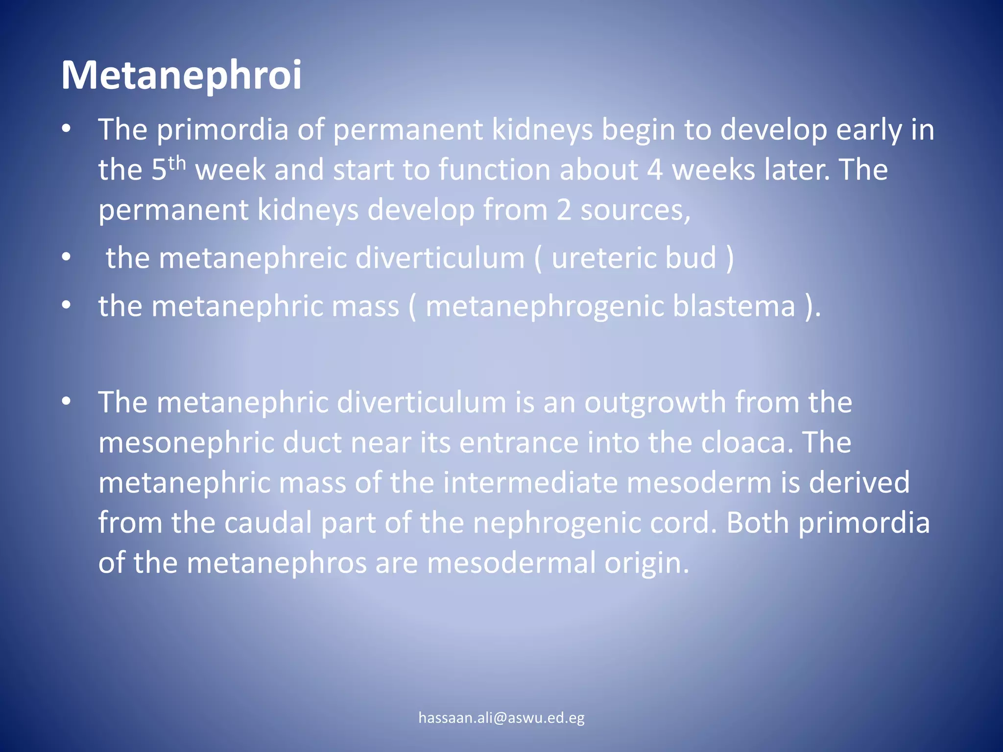 Embryology, Normal Development of Urinary System | PPTX