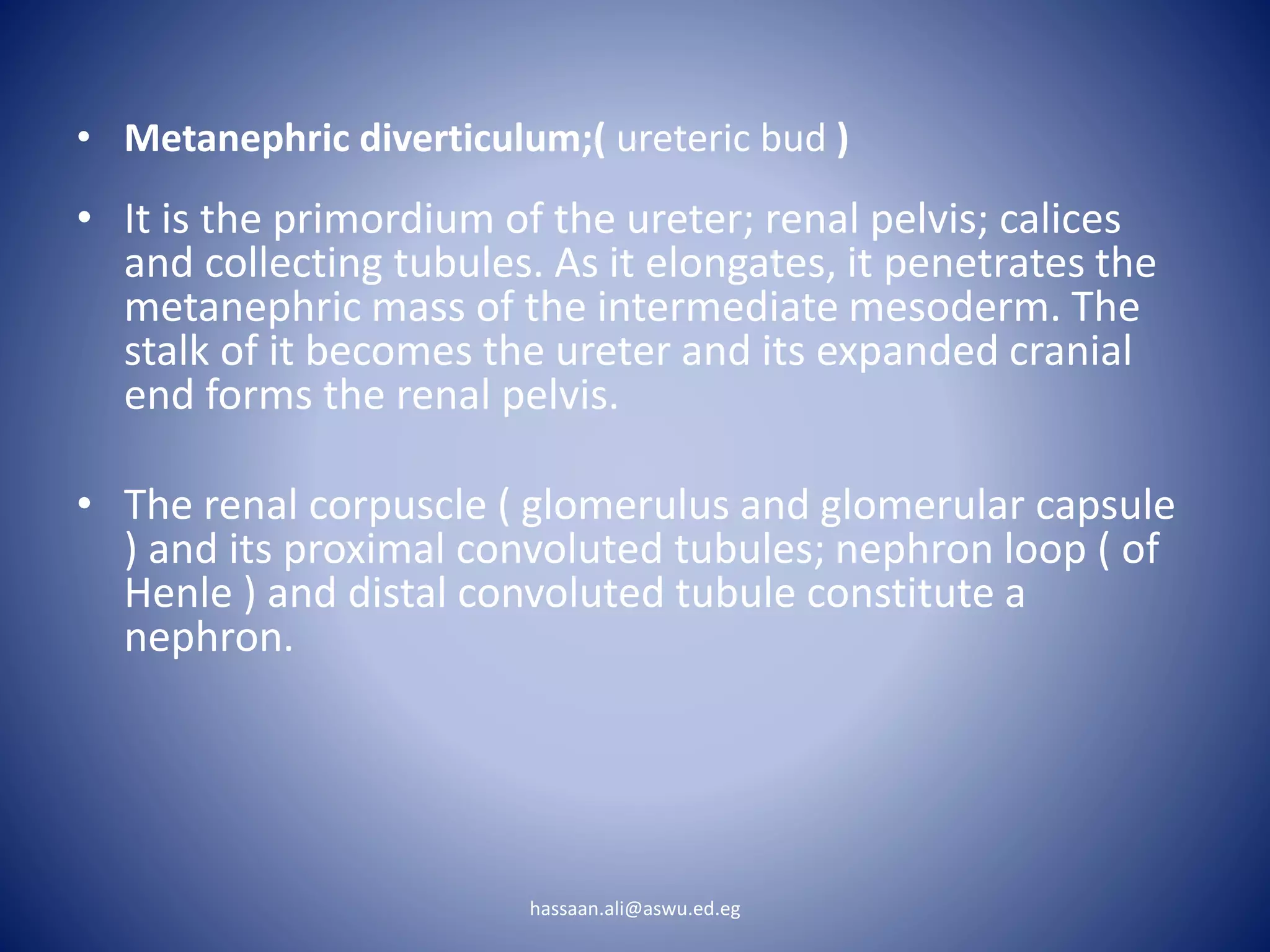 Embryology, Normal Development of Urinary System | PPTX
