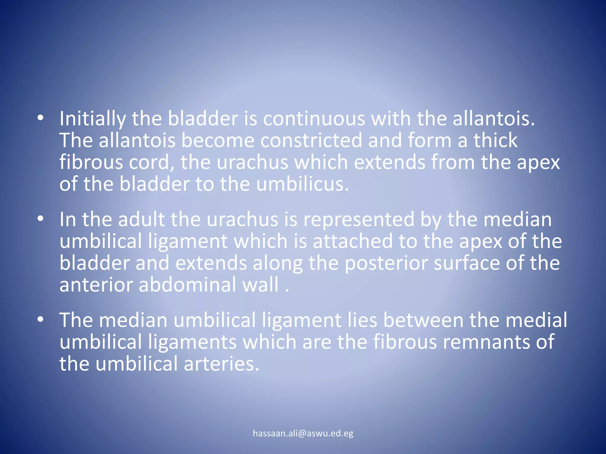 Embryology, Normal Development of Urinary System | PPTX