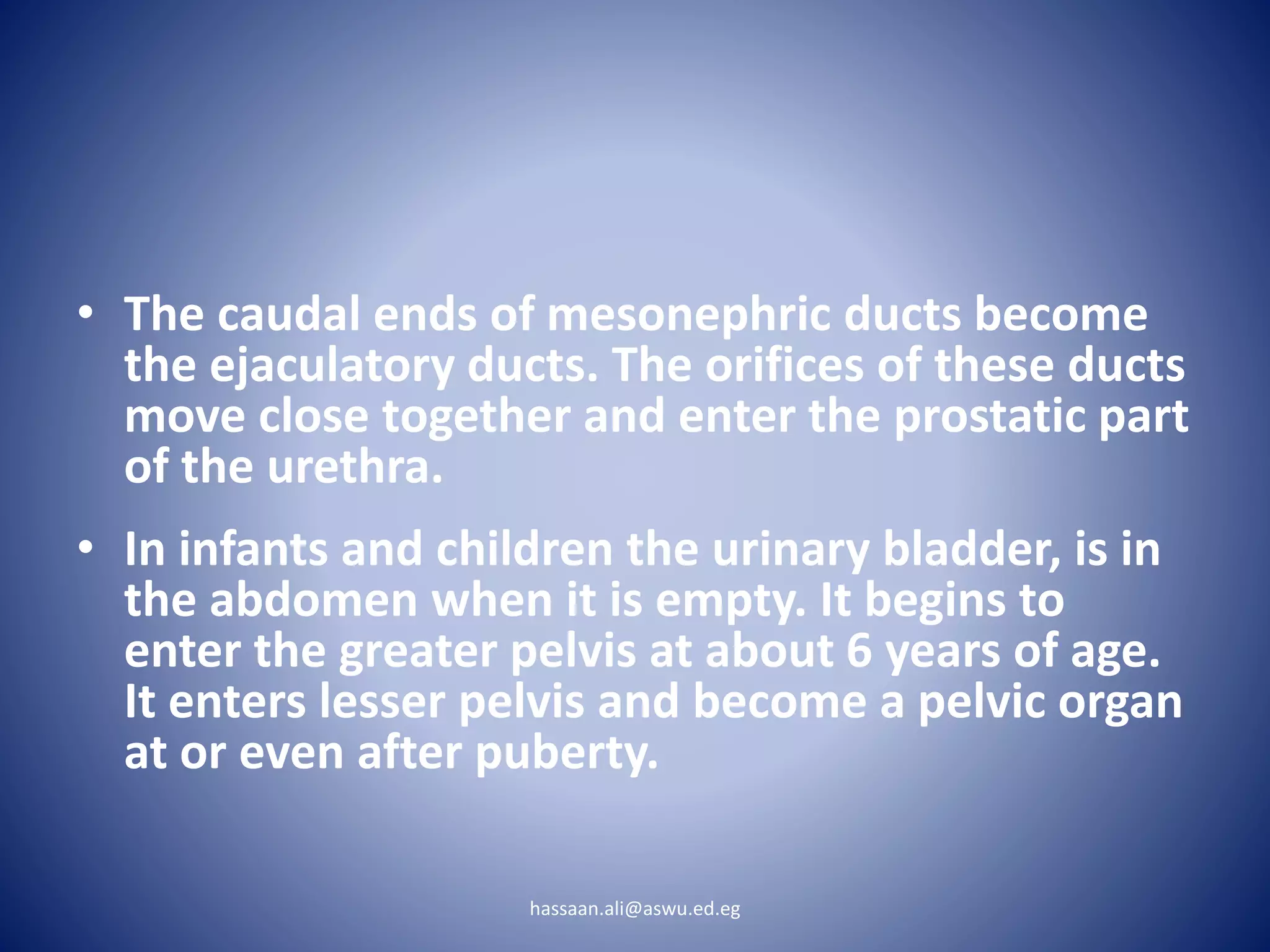 Embryology, Normal Development of Urinary System | PPTX