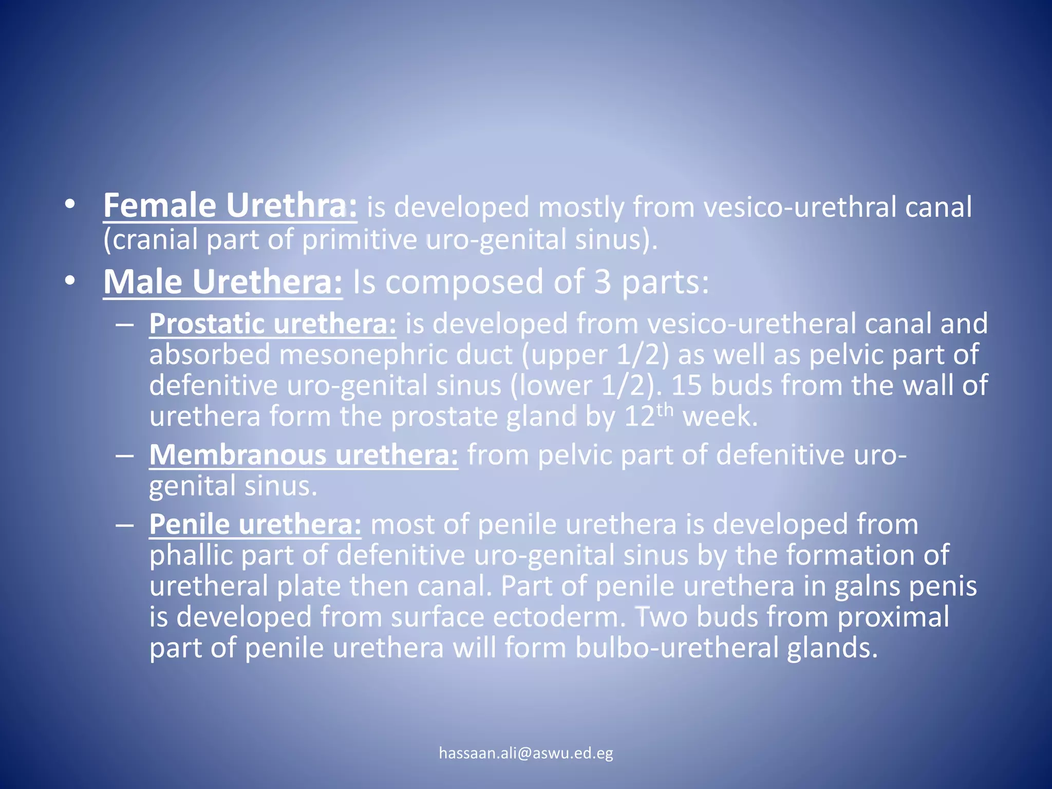 Embryology, Normal Development of Urinary System | PPTX