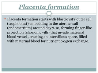embrology of placentaa formation.pptx