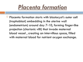 embrology placenta formation anatomy bams .pptx