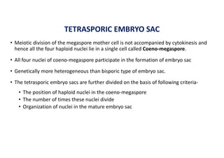 Embrosac-2-18.pdf. types of embrosac. monosporic | PDF