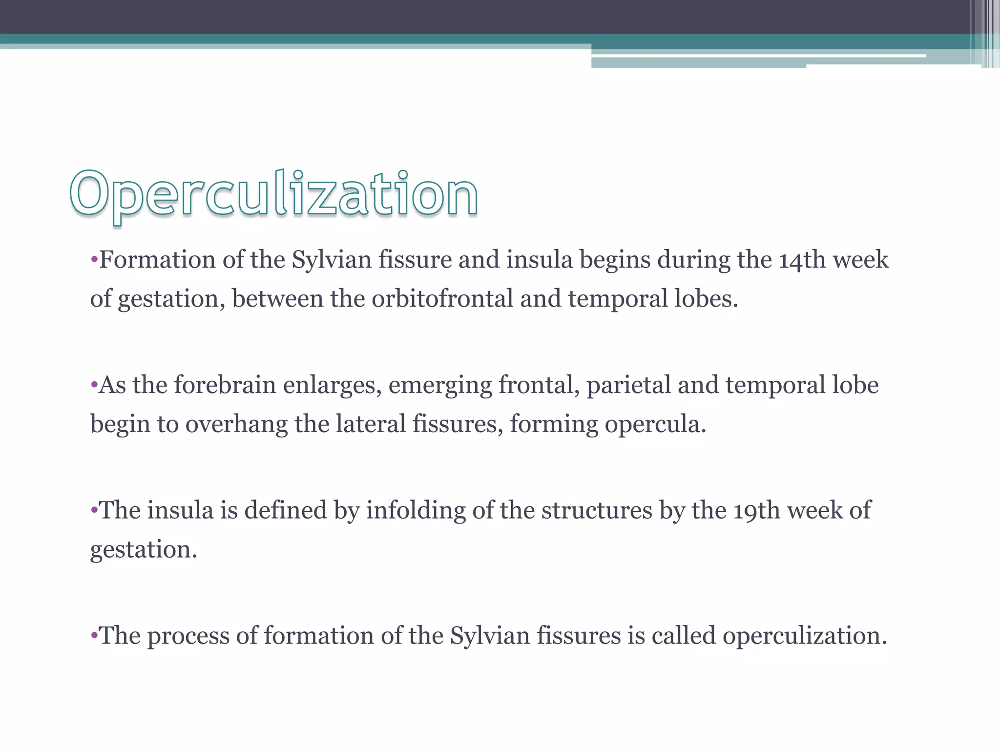 Basics of Embryology and short review of congenital errors of CNS in ...