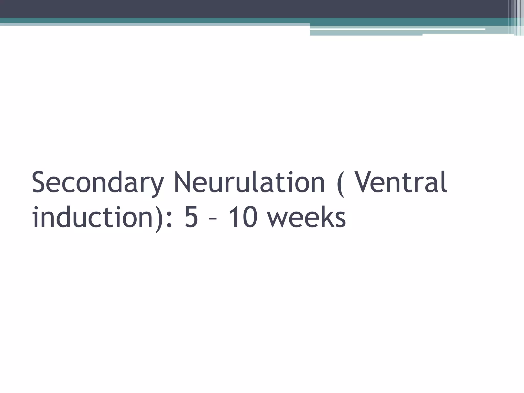 Basics of Embryology and short review of congenital errors of CNS in ...
