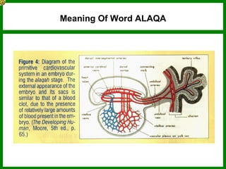 Quran and Embryology | PPT