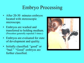 Embryo Transfer | PPT