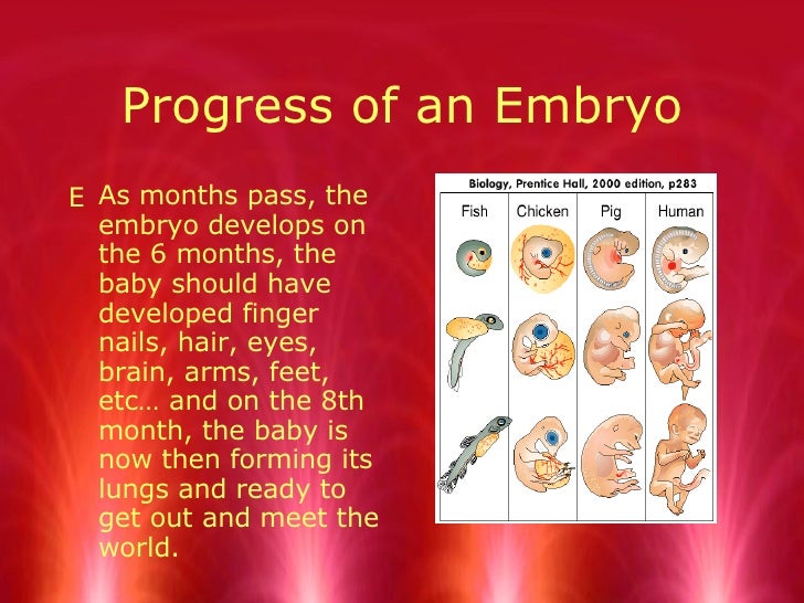 Embryology Meaning