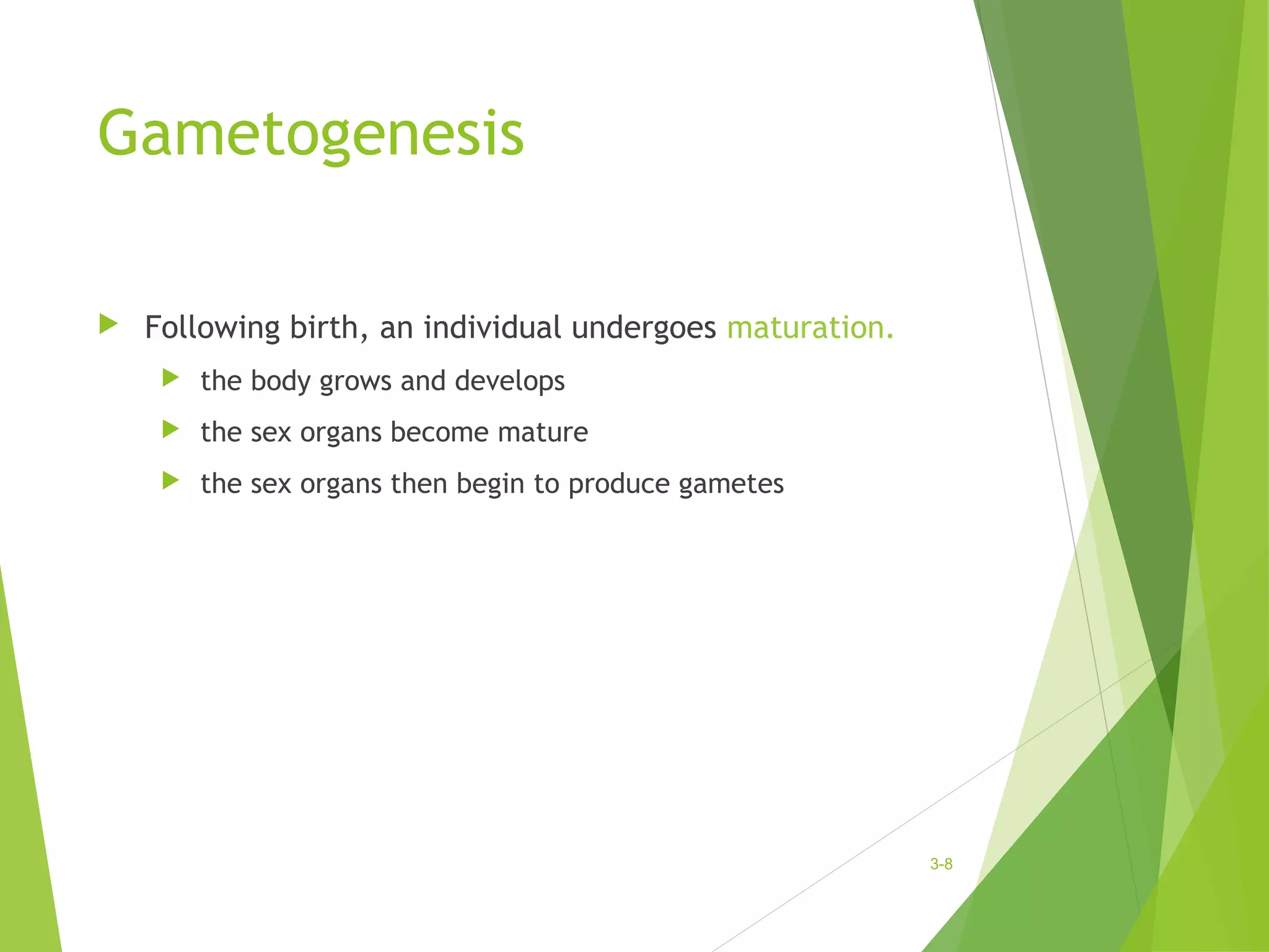 Embryo | PPT