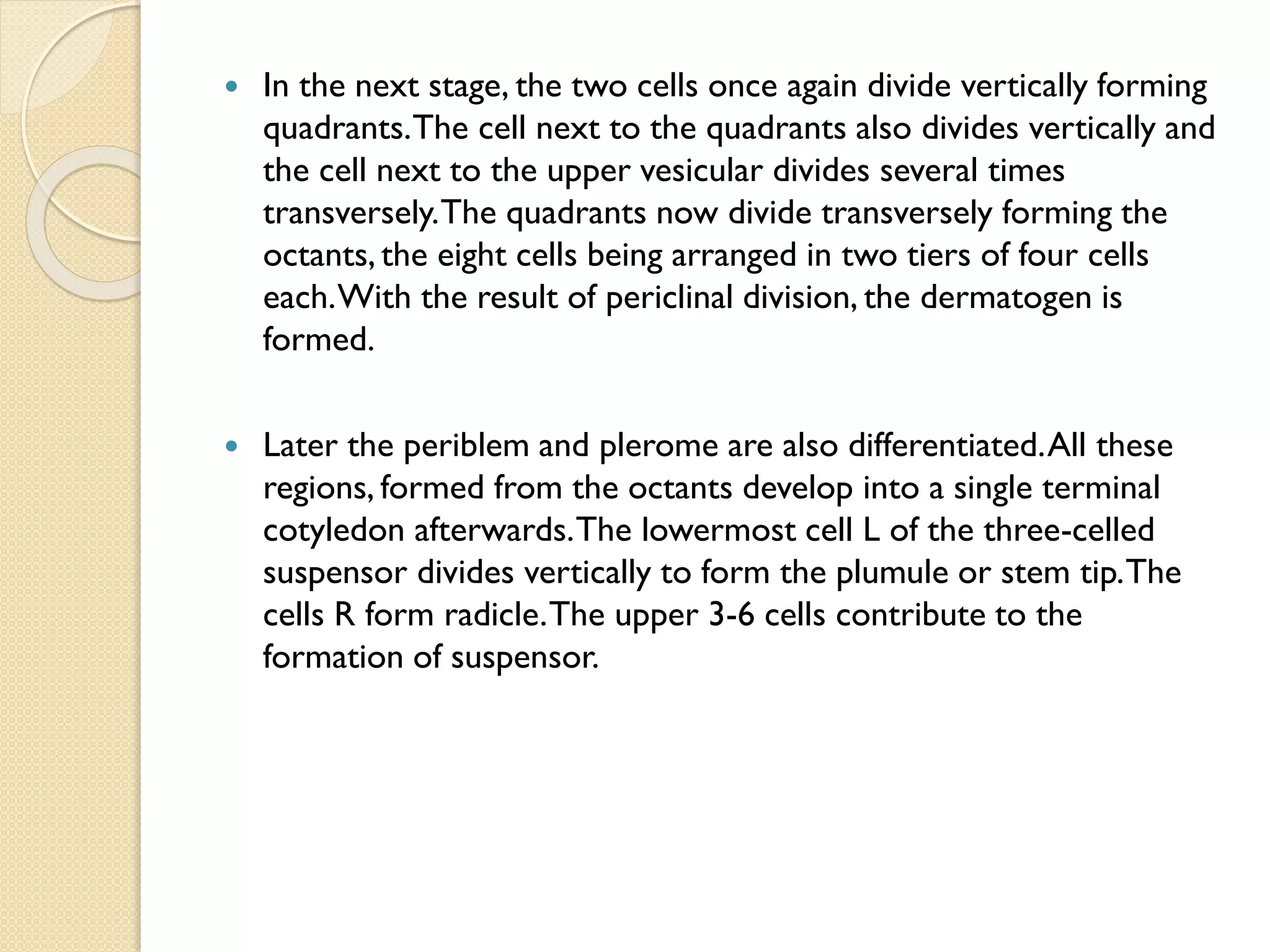 Developement of Embryo | PDF