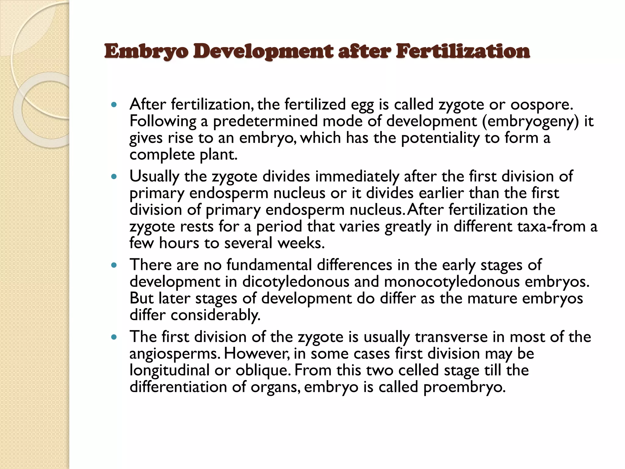 Developement of Embryo | PDF
