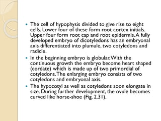 Developement of Embryo | PDF