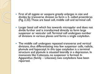 Developement of Embryo | PDF | Infertility | Reproductive Health