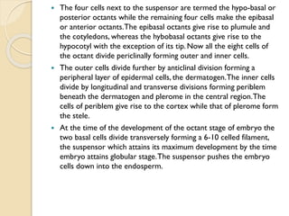 Developement of Embryo | PDF