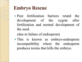 embryo-culture plant tissues culture.ppt