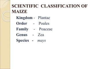 embryo-culture plant tissues culture.ppt