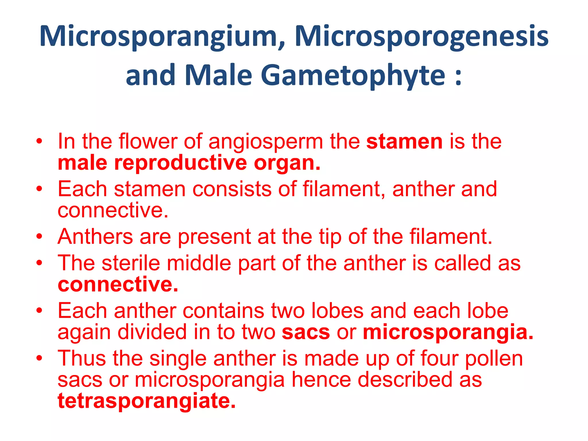 Embryology of Angiosperms | PDF