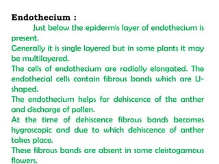 Embryology of Angiosperms | PDF