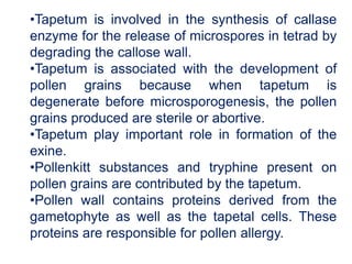 Embryology of Angiosperms | PDF