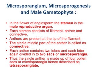 Embryology of Angiosperms | PDF