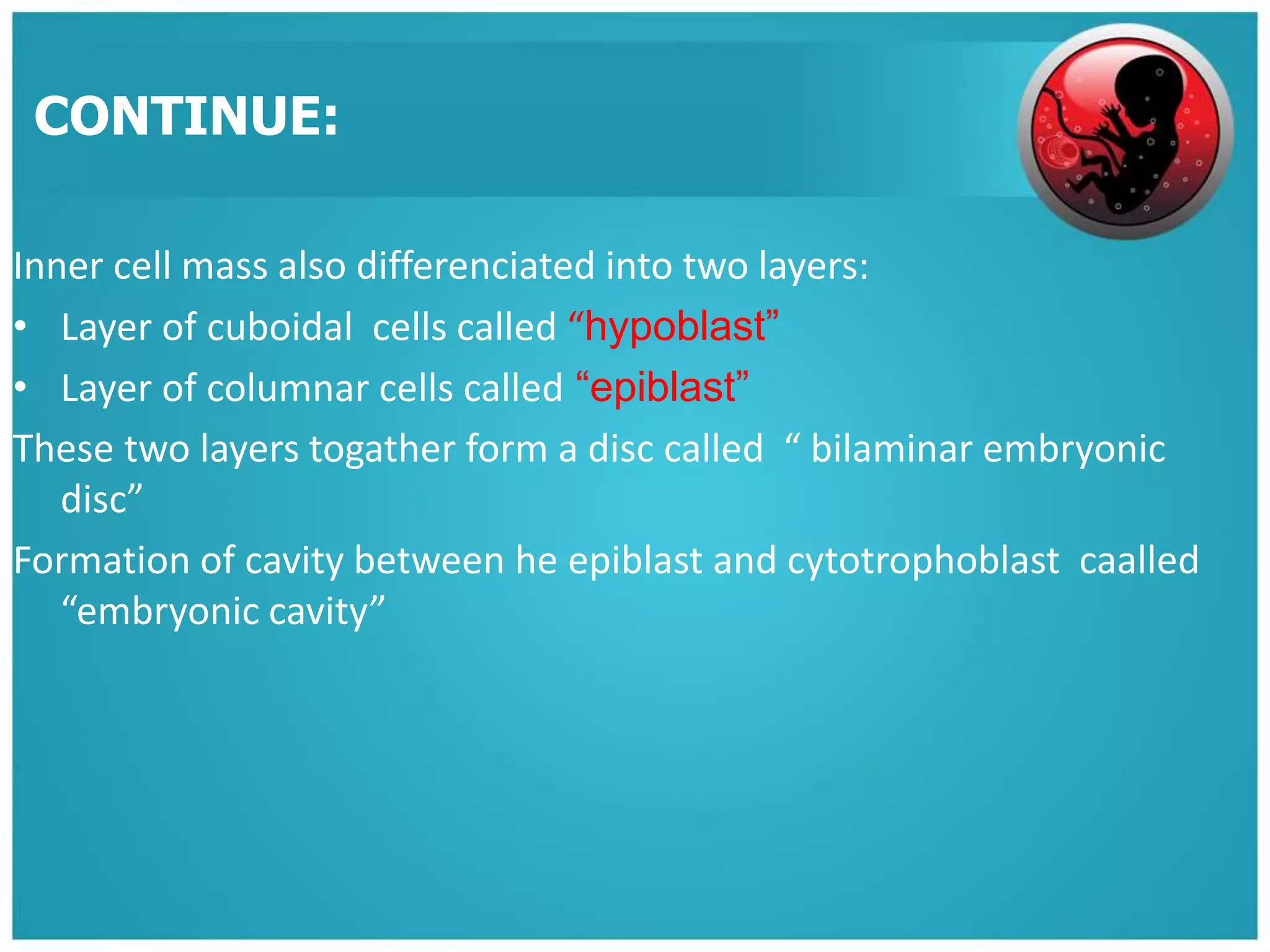 Embryo 2nd week | PPT