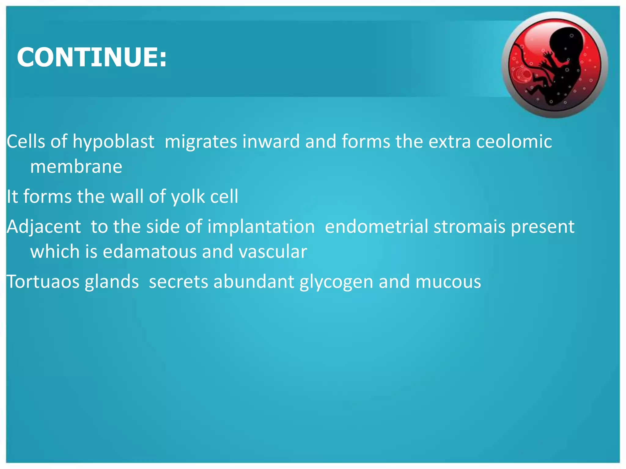 Embryo 2nd week | PPT