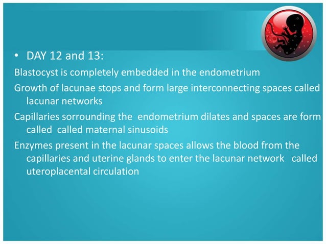 Embryo 2nd week | PPT