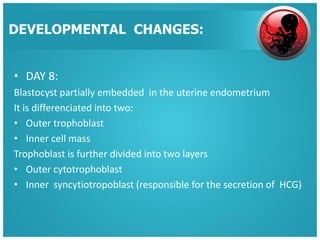 Embryo 2nd week | PPT