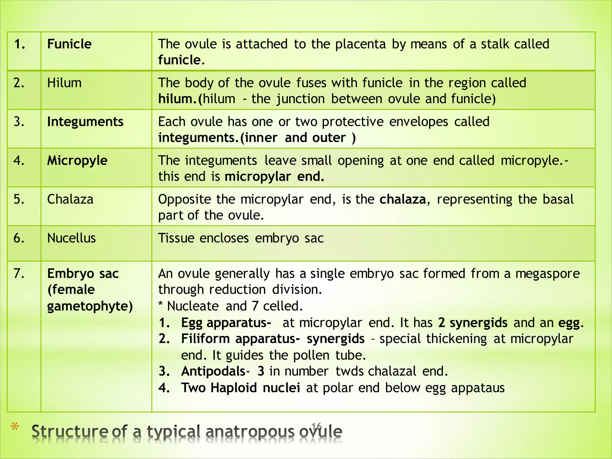 Embryology of Angiosperms | PDF