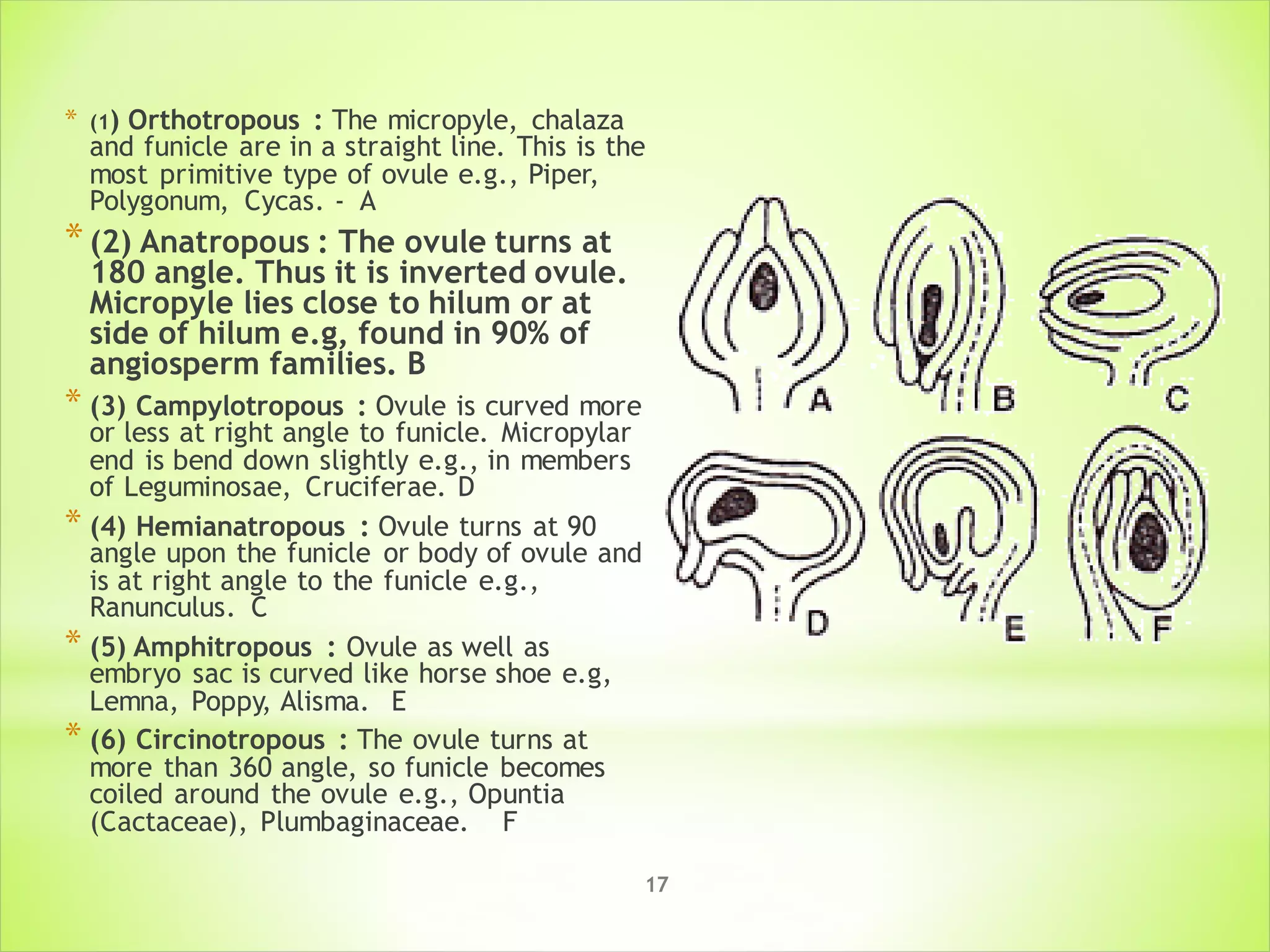 Embryology of Angiosperms | PDF