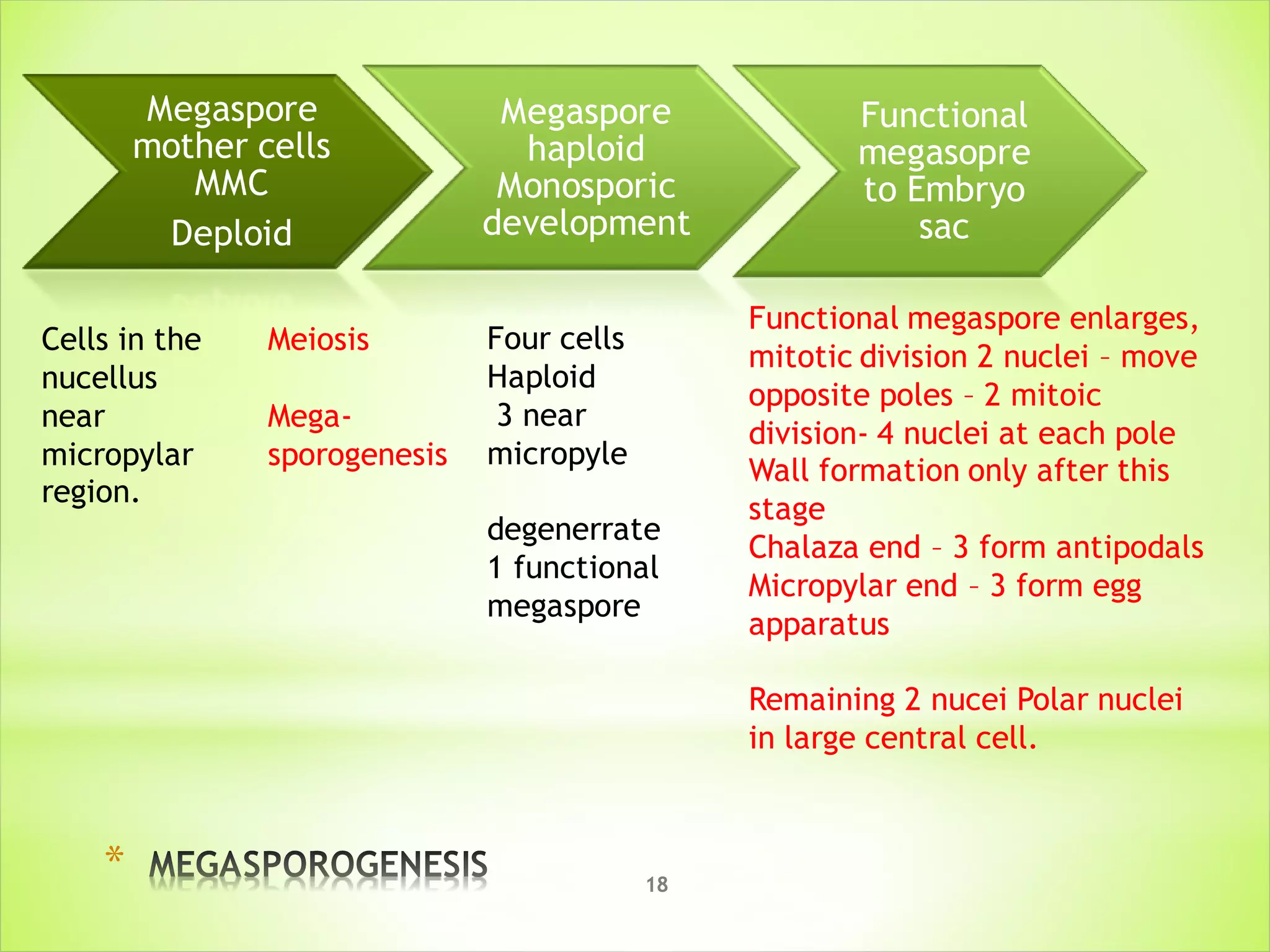 Embryology of Angiosperms | PDF