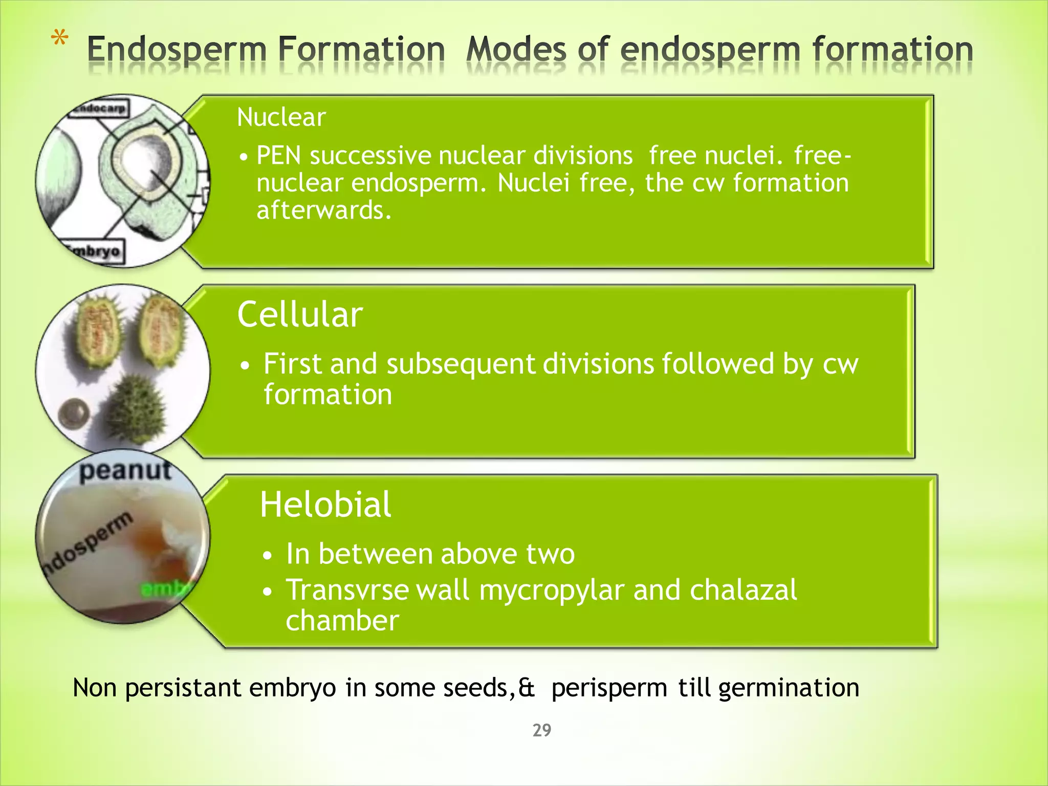 Embryology of Angiosperms | PDF