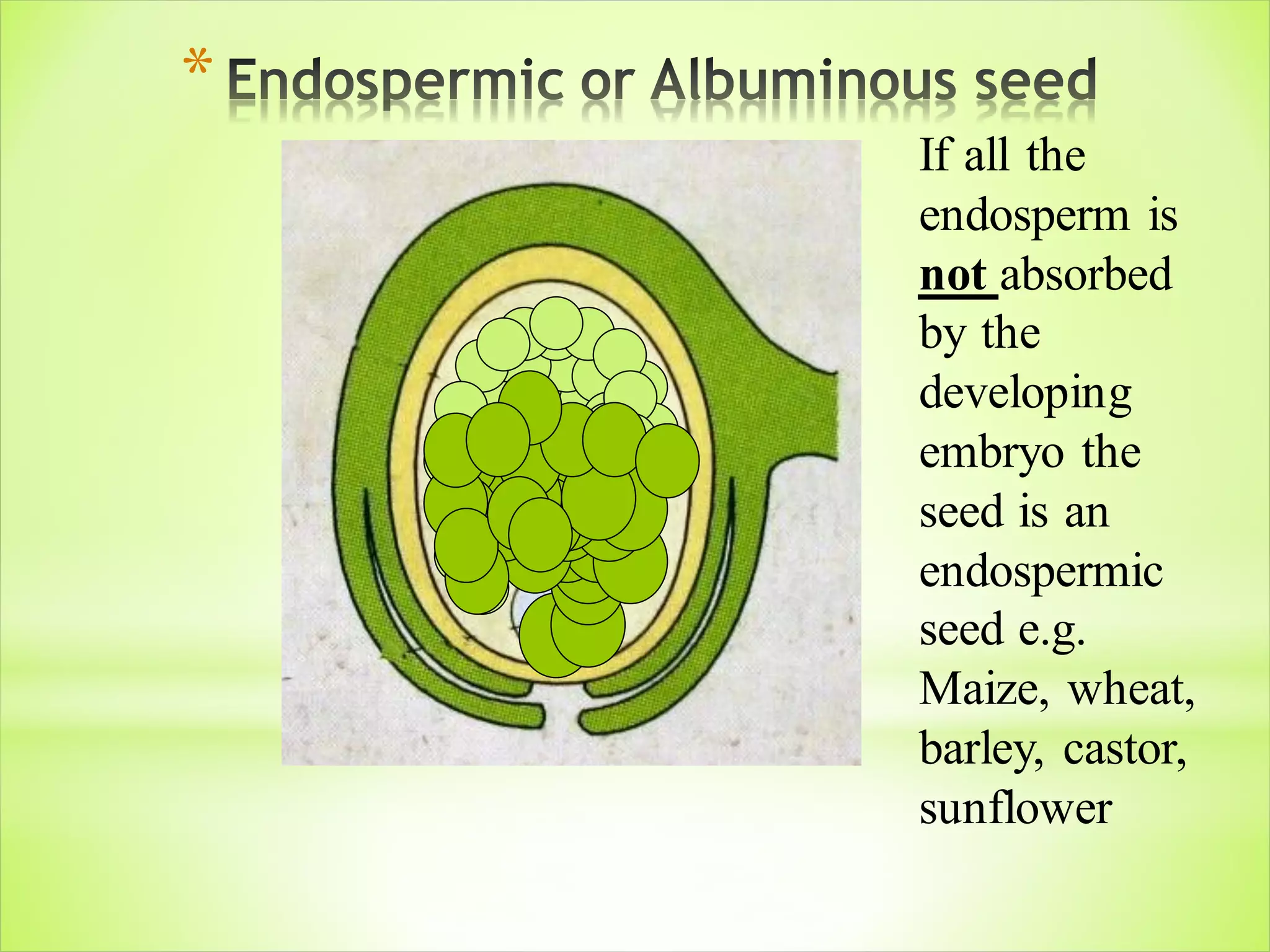 Embryology of Angiosperms | PDF