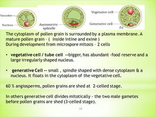 Embryology of Angiosperms | PDF